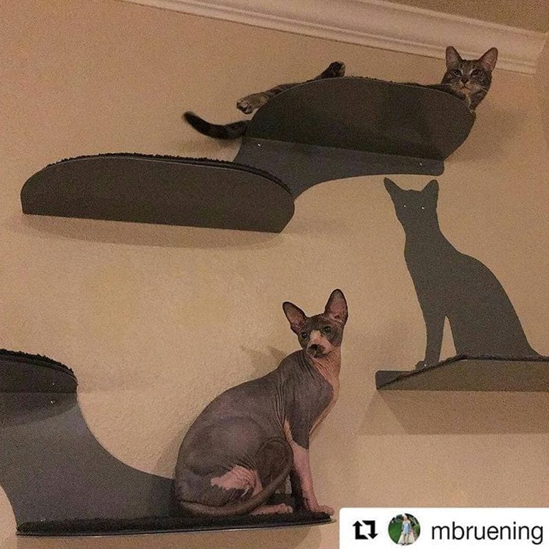 Cat Furniture Customer Photos | The Refined Feline