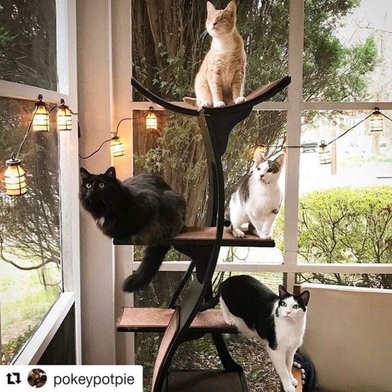 Lotus Cat Tower: A Modern Cat Tree | The Refined Feline