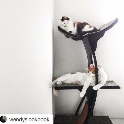 Lotus Cat Tower: A Modern Cat Tree | The Refined Feline
