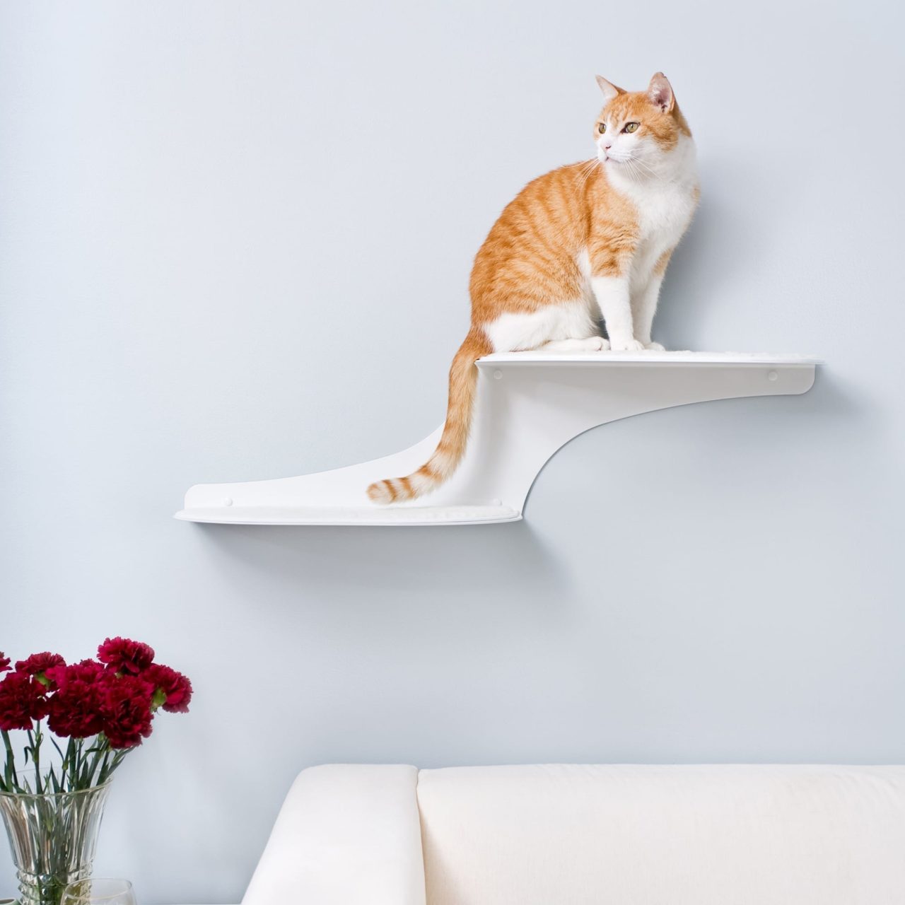 Cat Wall Shelves & Perches - The Refined Feline