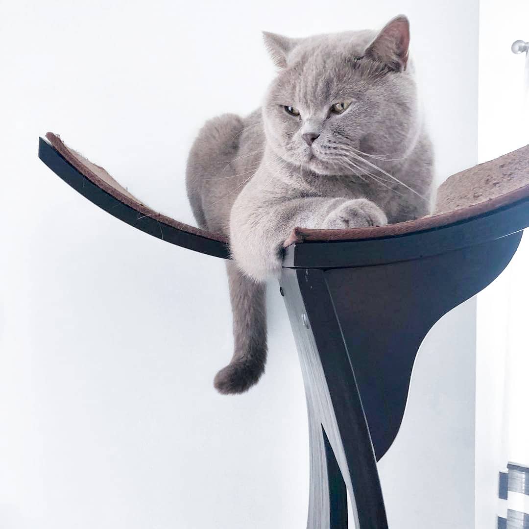 Lotus Cat Tower A Zen Cat Tree Of Modern Design The Refined Feline