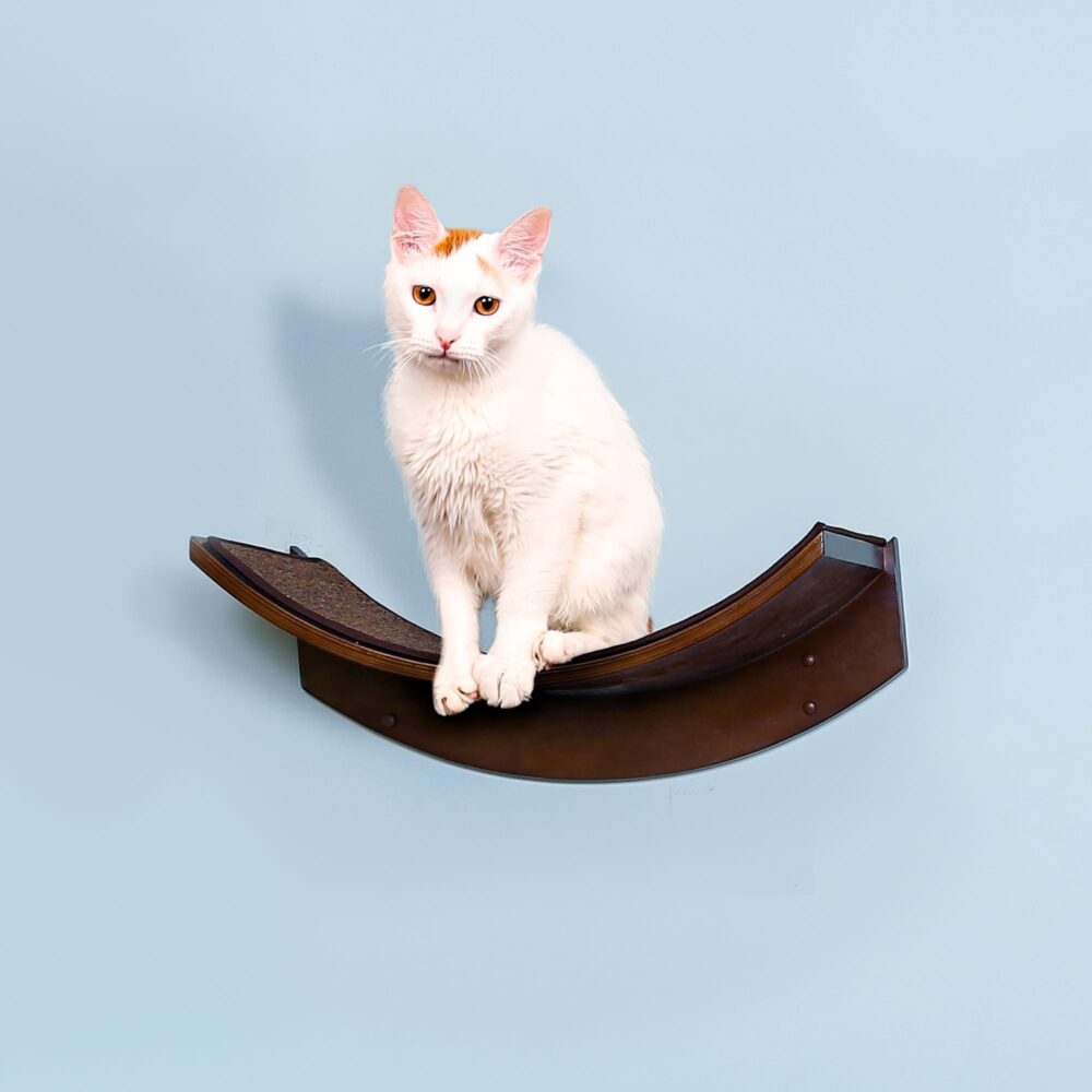 Lotus Leaf Cat Shelf | Cat Wall Shelves to Curl Into | The Refined Feline
