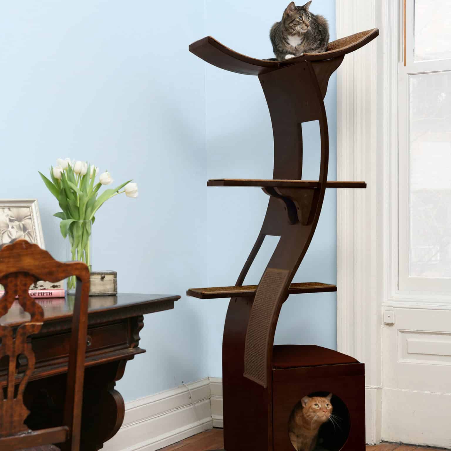 Shop Modern Cat Furniture from The Refined Feline