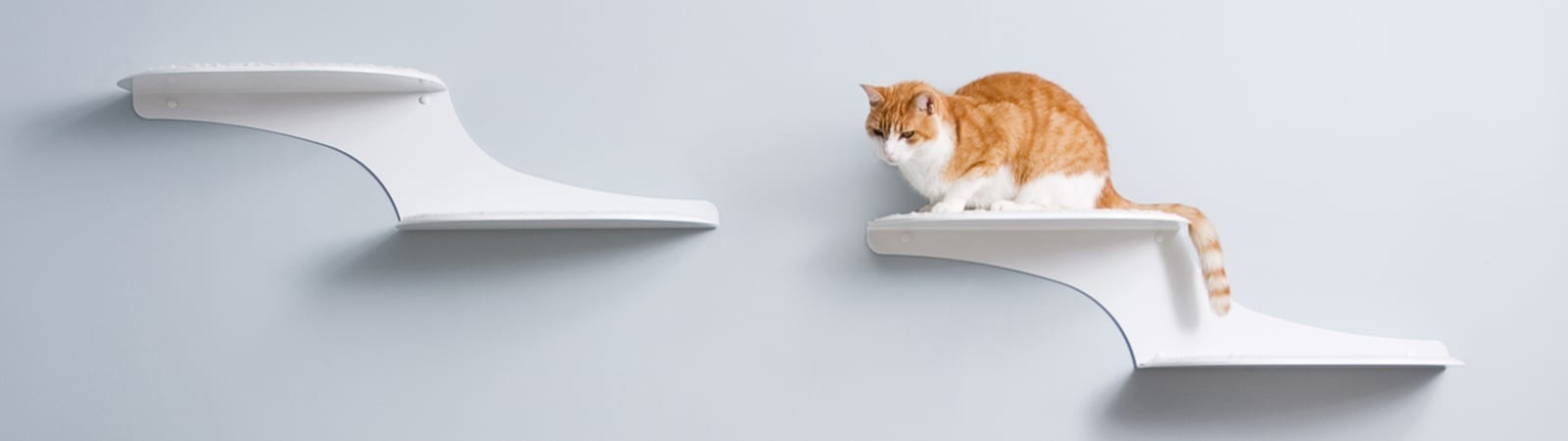 Shop Modern Cat Furniture from The Refined Feline