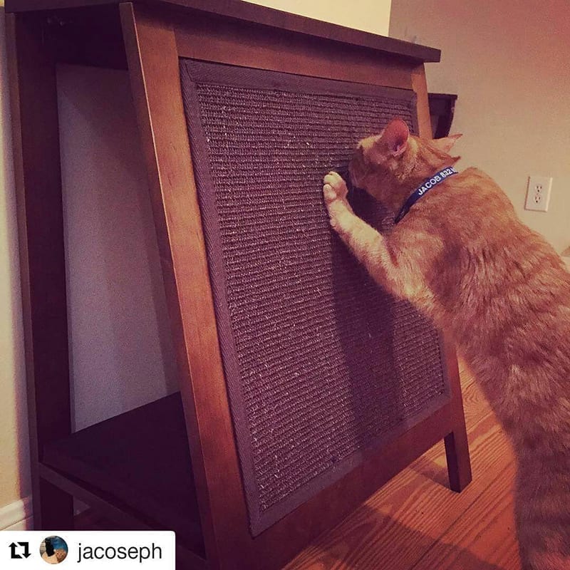 Cat Furniture Customer Photos | The Refined Feline