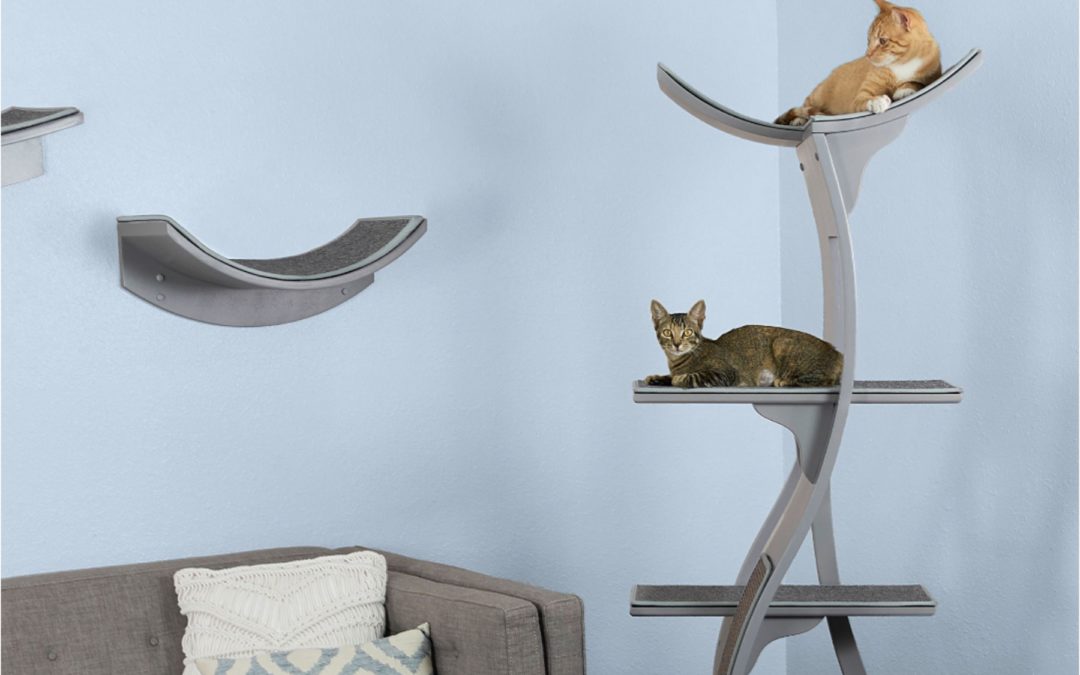 How to Catify Your Home When Space is Limited | The Refined Feline