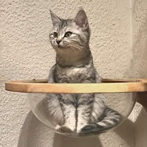 12 Best Cat Products for Your Wall- A Review - The Refined Feline