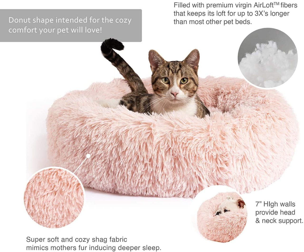 Best Cat Beds (A Review From Our Cats) - The Refined Feline