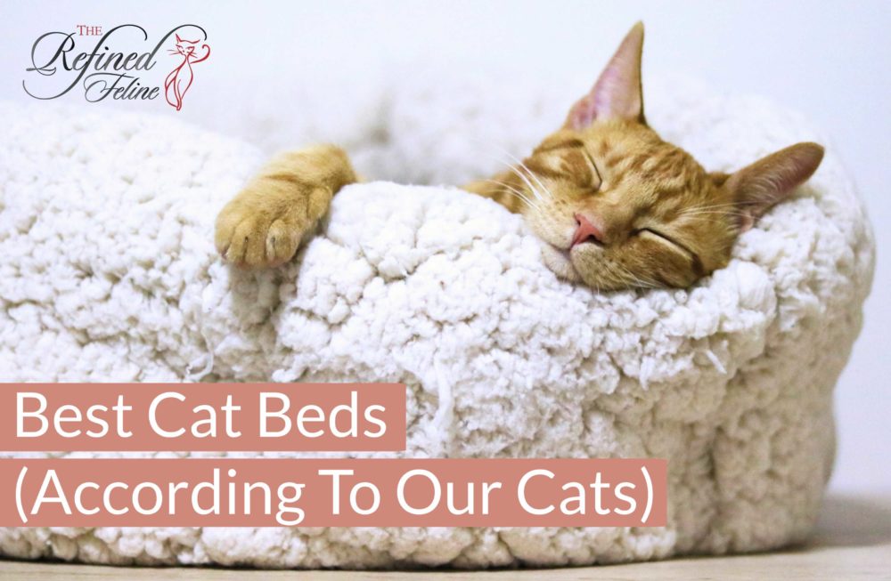 Best Cat Beds (A Review From Our Cats) - The Refined Feline