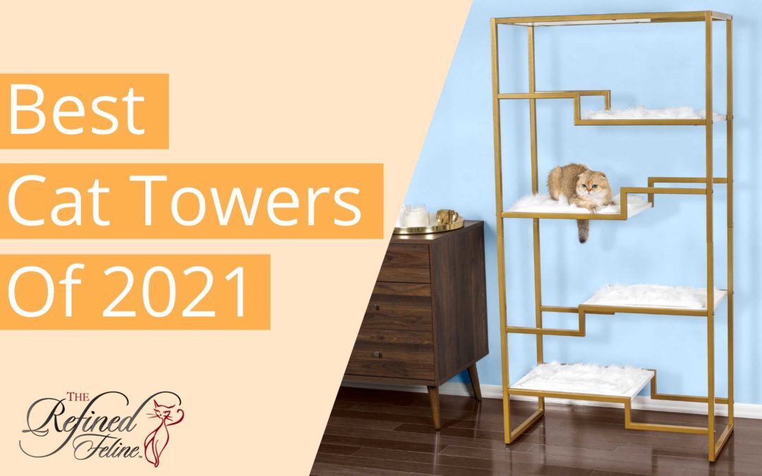 Best Cat Towers, Cat Trees, & Cat Condos of 2021 - The Refined Feline
