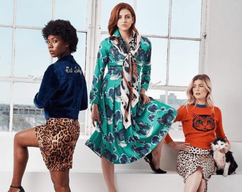 The Refined Feline | Modern Cat Furniture Designer