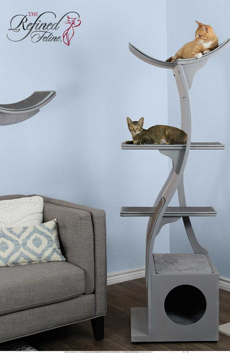 Cat Hair Everywhere? These Tips Will Help! - The Refined Feline