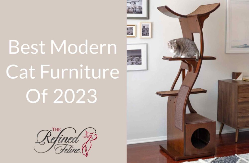 Modern Cat Furniture of 2023 - The Refined Feline