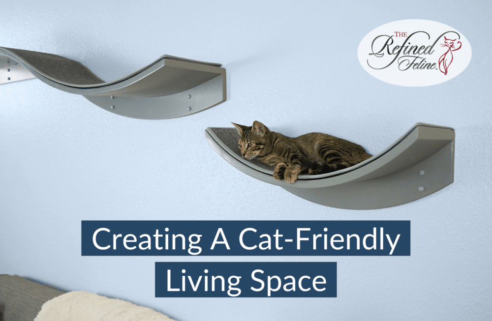 Creating A Cat-Friendly Living Space - The Refined Feline