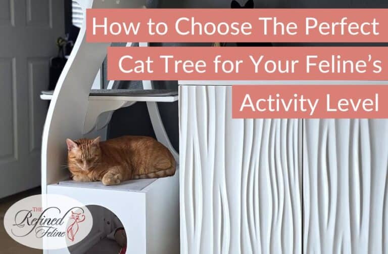How to Choose the Perfect Cat Tree for Your Feline's Activity Level ...