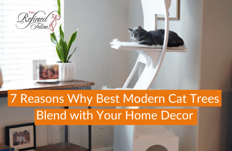 Modern Cat Trees That Look Like Furniture | The Refined Feline