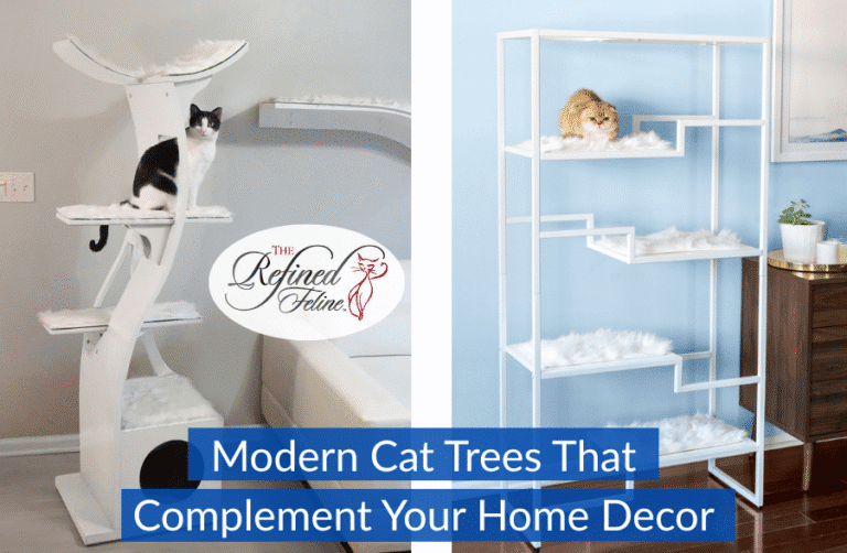 Best Modern Cat Trees for Stylish Homes | Top Picks for Large Cats
