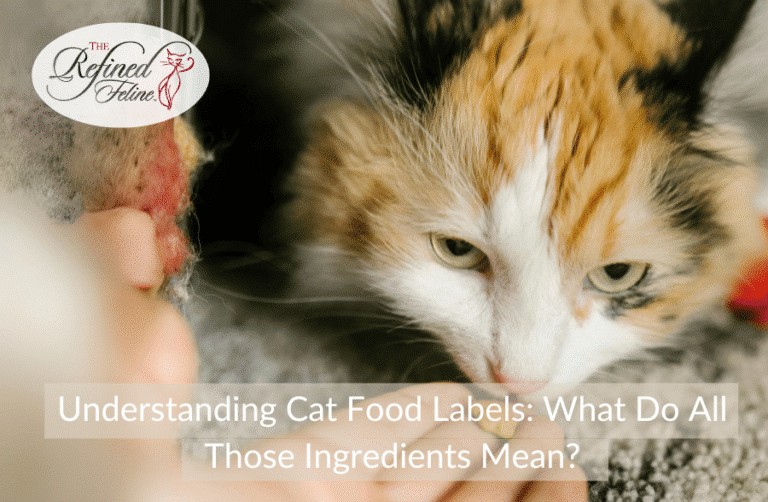 Understanding Cat Food Labels: Ingredients Guide for Cat Owners