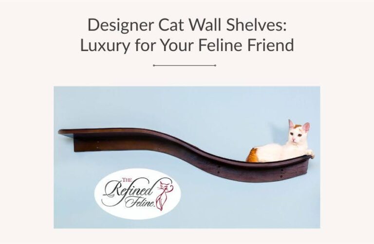 Designer Cat Wall Shelves for a Stylish Home