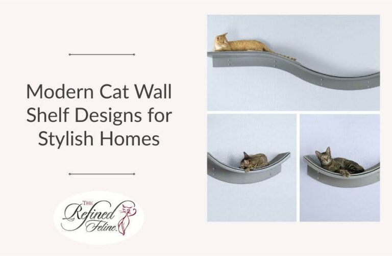 Modern Cat Wall Shelf Designs You’ll Love