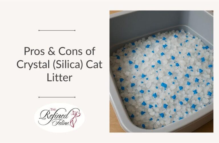 Is Crystal Cat Litter Safe? Pros, Cons & Health Risks Explained