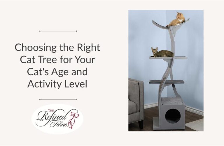 Choosing the Right Cat Tree for Your Cat's Age & Activity