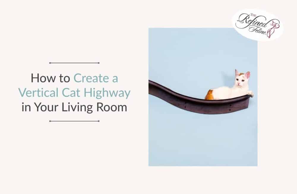 Create a Cat Vertical Space | The Refined Feline