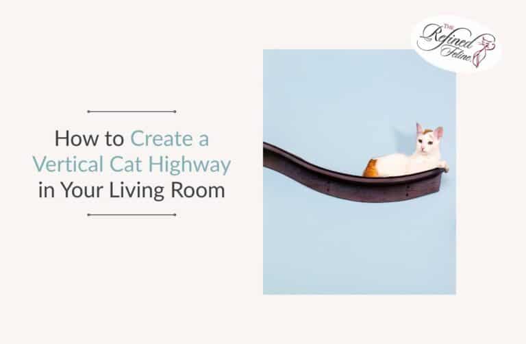 Create a Cat Vertical Space | The Refined Feline
