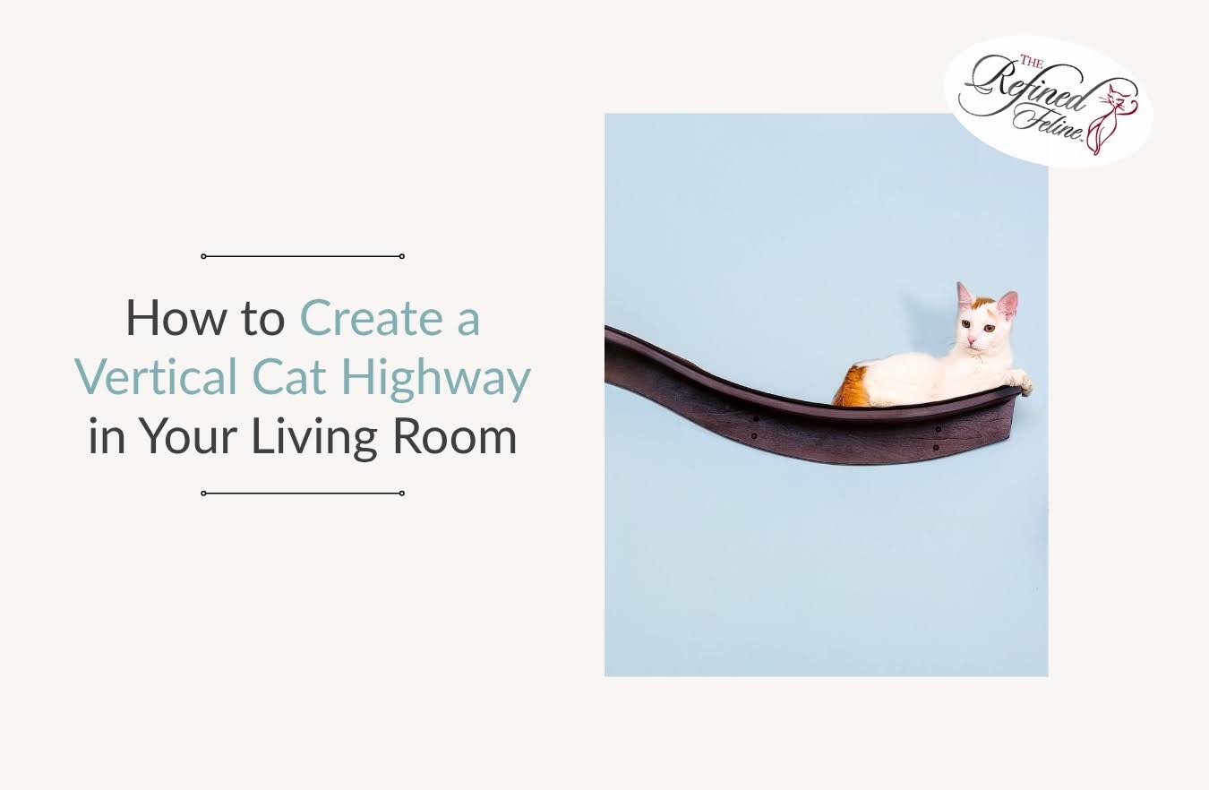 Create a Cat Vertical Space | The Refined Feline
