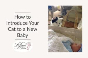 Tips to Introduce Your Cat to a New Baby