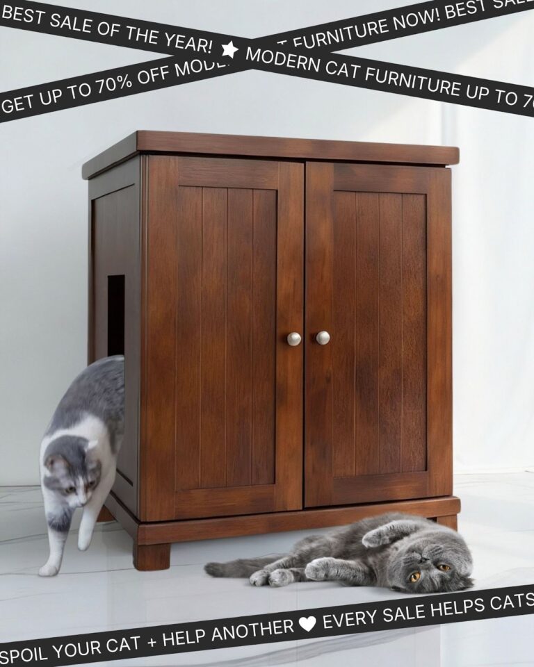Black Friday Cat Litter Box Deals | Up to 44% Off + Free Shipping