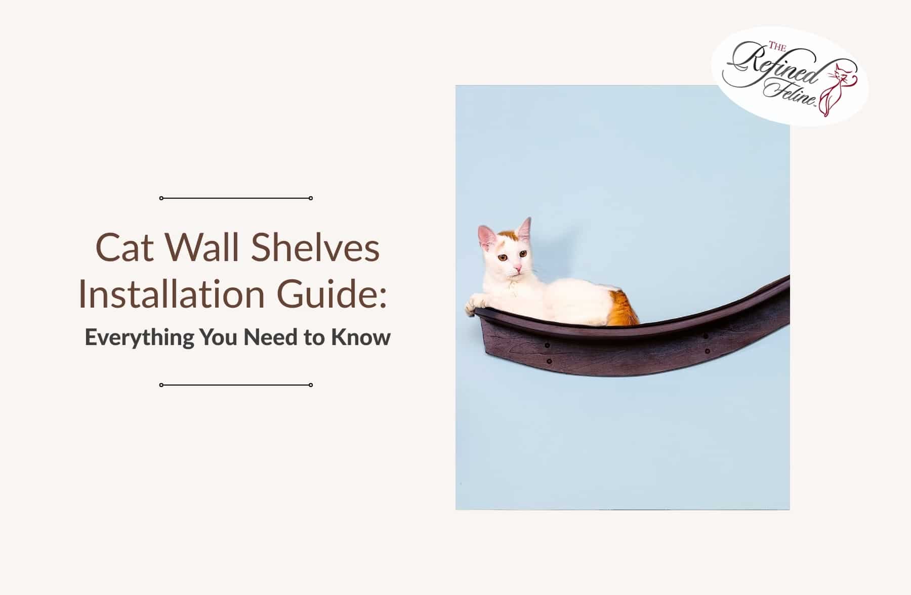How to Install Cat Wall Shelves: Complete Guide