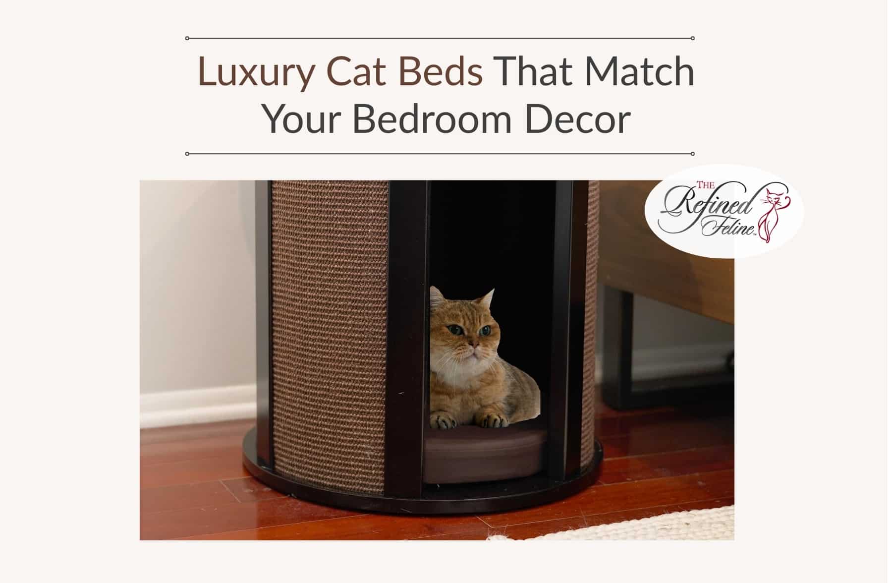 Luxury Cat Beds With Your Bedroom Style