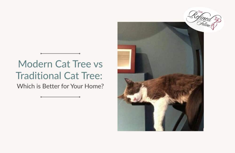 Modern Cat Tree vs Traditional: Which is Better?