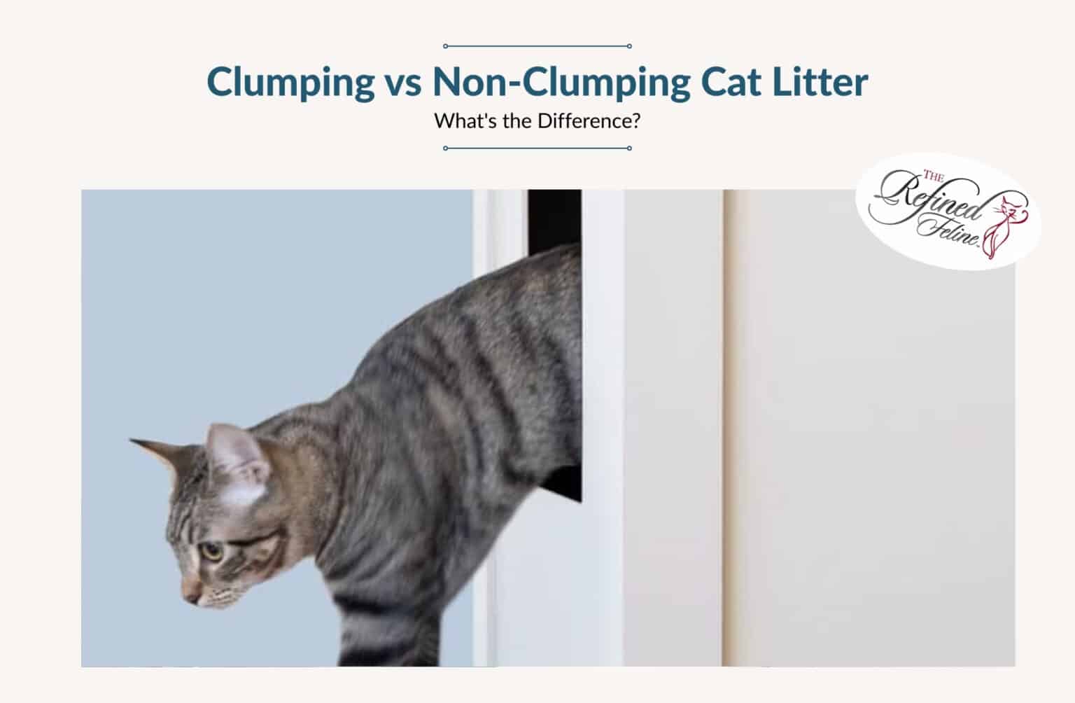 Clumping vs Non-Clumping Cat Litter: Key Differences