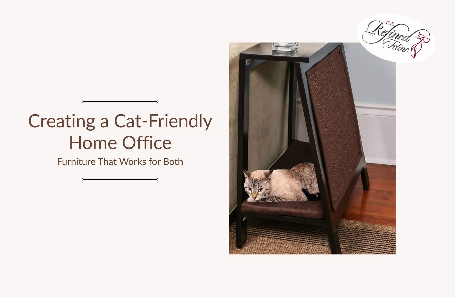 Cat-Friendly Home Office Setup: Furniture & Layout Tips