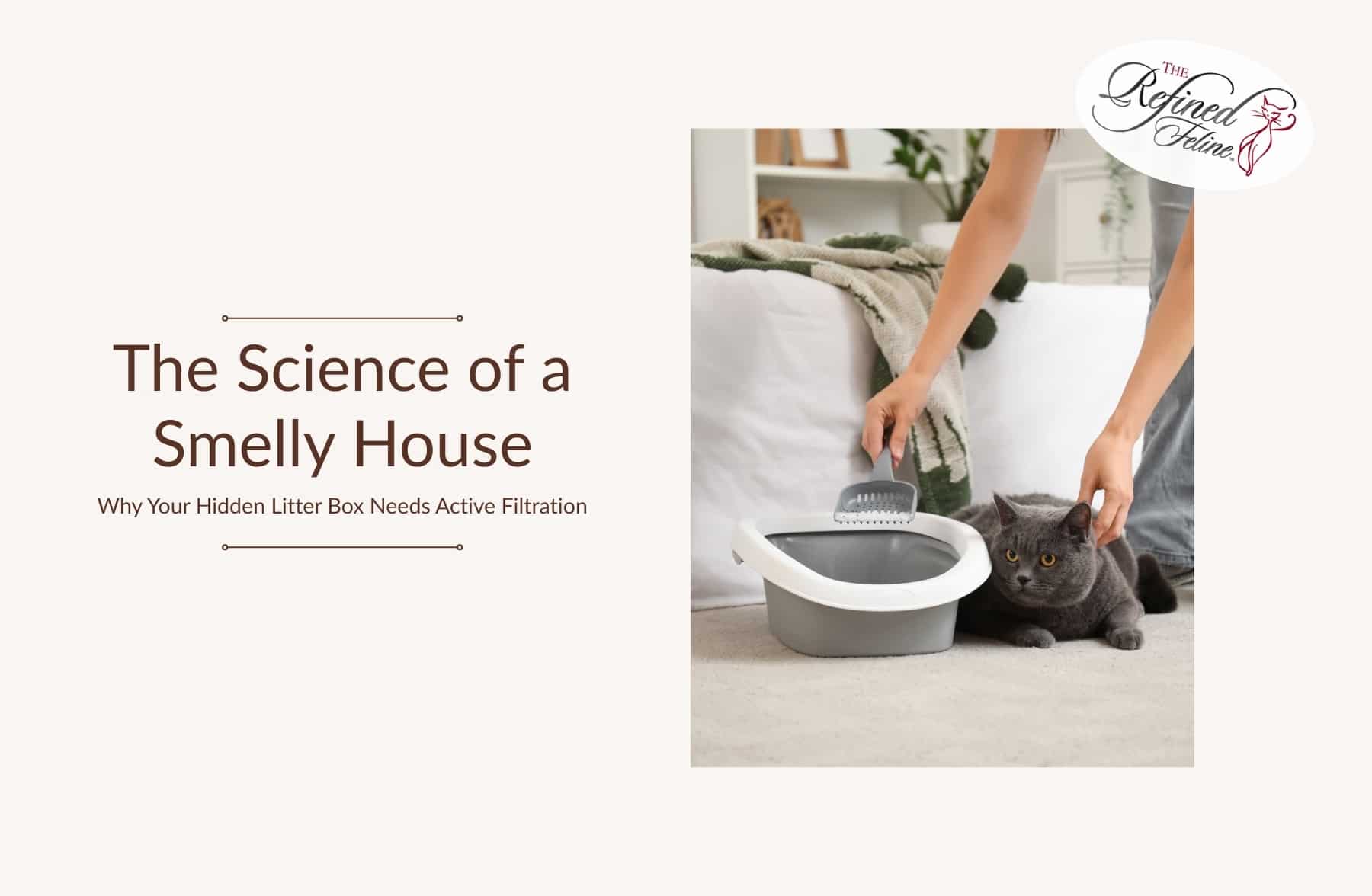 Why Hidden Litter Boxes Need Active Filtration