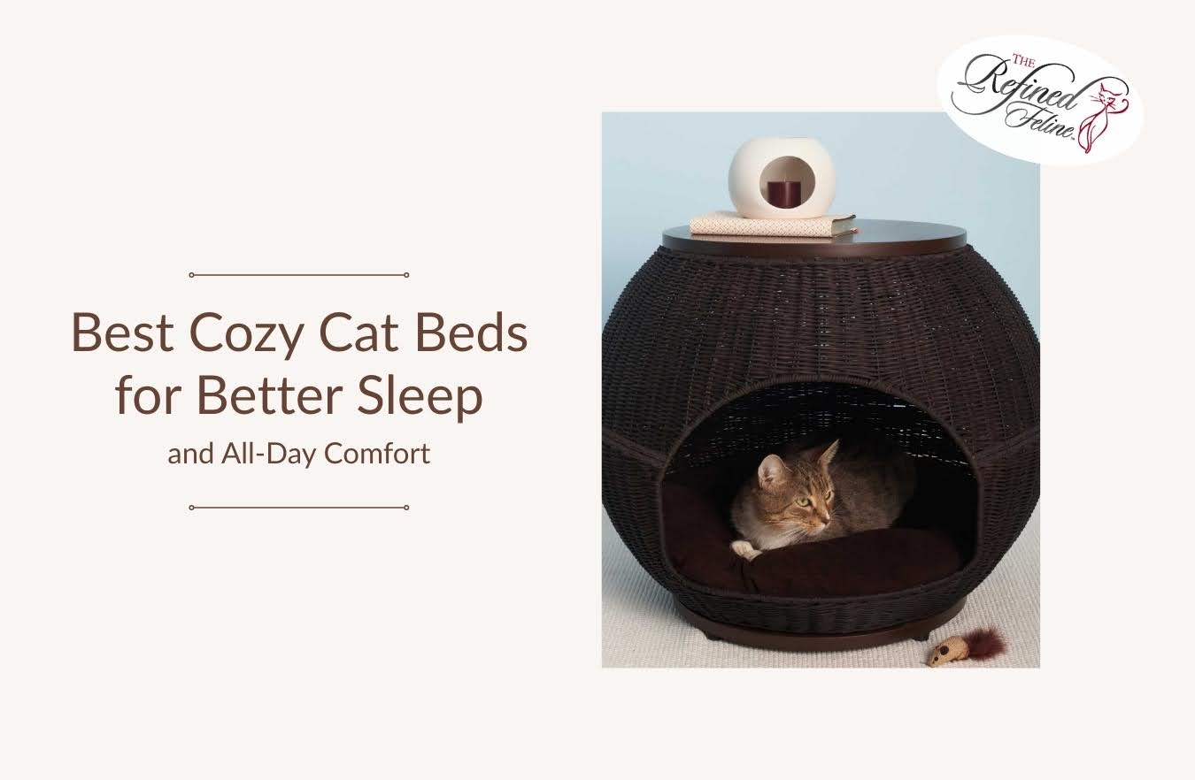 Best Cozy Cat Beds for Better Sleep & Comfort